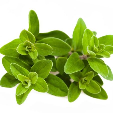 Spices, Seasonings & Herbs that Start with M - homenspice.com
