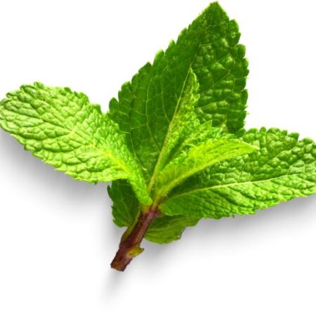 Spices, Seasonings & Herbs that Start with P - homenspice.com
